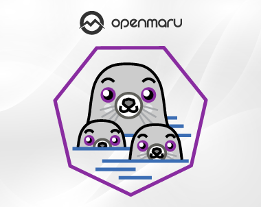 OPENMARU - Podman Compose란?