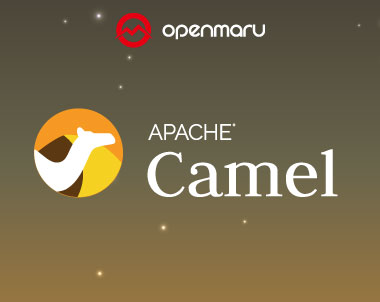 Apache Camel - 기업 시스템 통합을 위한 오픈소스 Integration 프레임워크 - OPENMARU APM