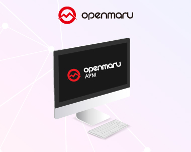 PaaS-TA 종료와 K-PaaS의 부상: 민간 주도의 클라우드 네이티브 생태계로 - OPENMARU APM