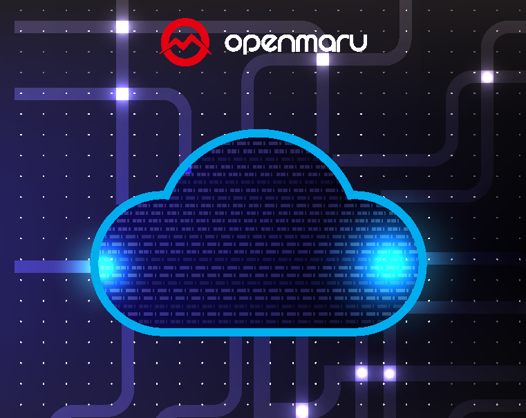 클라우드 네이티브 무상 세미나 - 서울시 소재 지자체 - OPENMARU APM